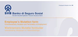 Automatische SVB Mutatieformulieren - Celery